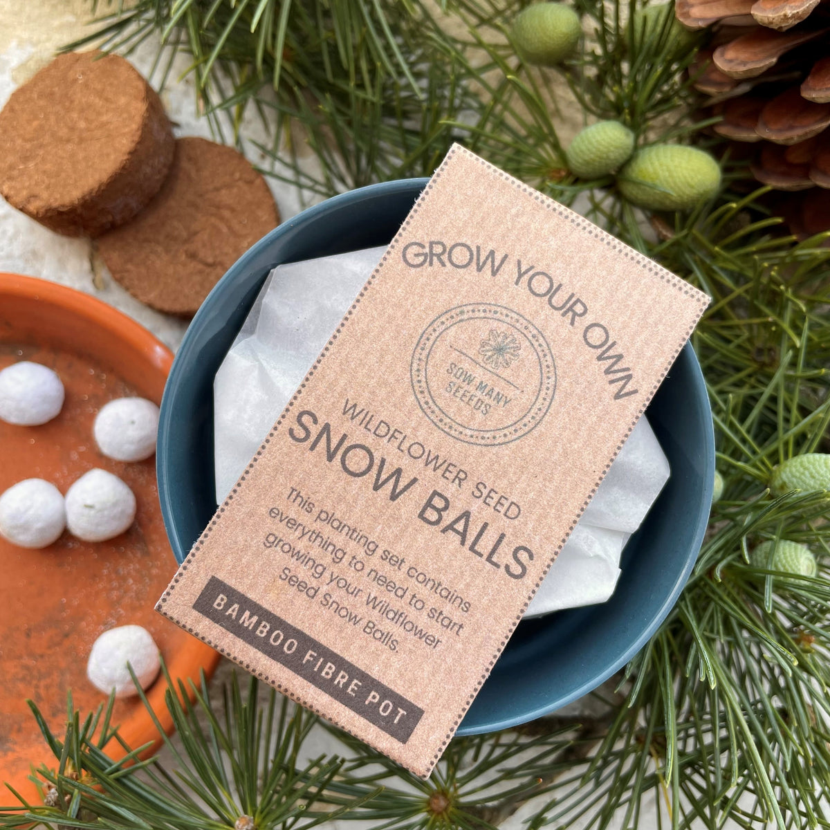 Grow Your Own Seed Bomb Set - Snowballs – sowmanyseedsgifting